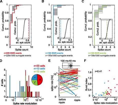 Figure 1 From Functional Diversity Of Subicular Principal Cells During Hippocampal Ripples