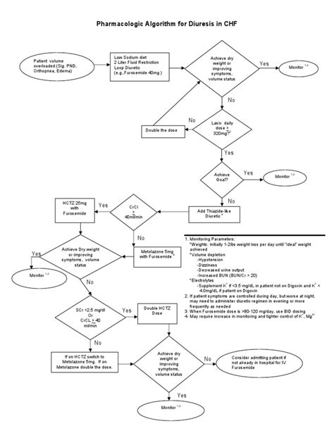 03 Diuresis Algorithm Pdf Pharmacology Drugs
