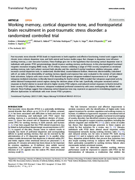Pdf Working Memory Cortical Dopamine Tone And Frontoparietal Brain