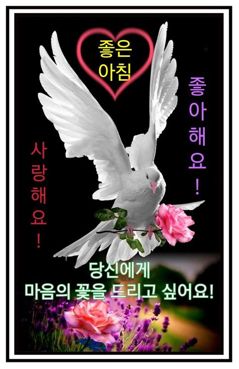 듯이 좋은 문구에 있는 핀 손글씨 문구