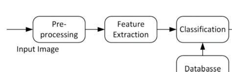 Face Recognition Process Ii Problem Definition Download Scientific