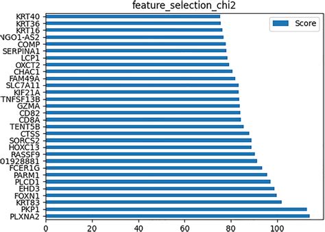 The Gene Importance Computation Using χ2 Discretisation And Feature