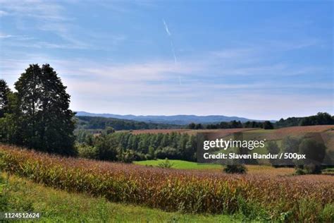 Berek Photos And Premium High Res Pictures Getty Images