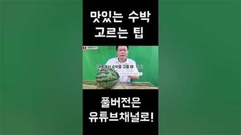 설탕수박 고르는 팁과 보관방법 알려드립니다좋은 암수박 골라요~ Youtube