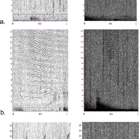 Color Online Sample Spectrograms X Axis ¼ Seconds Y Axis ¼ Khz Of