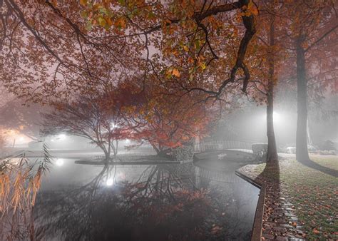 City Park In The Fog Poster By Wiktor Borozdin Displate