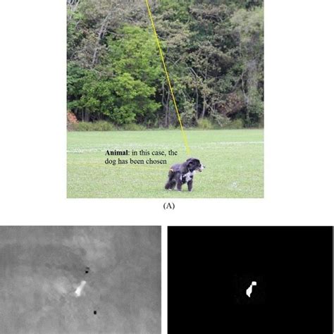 diagram for raspberry pi 2 flir lepton connection download