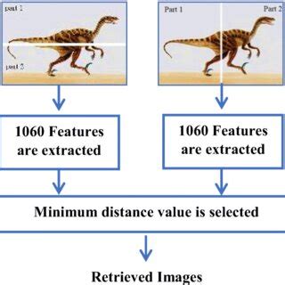 The Four Cases Of The Second Layer Download Scientific Diagram