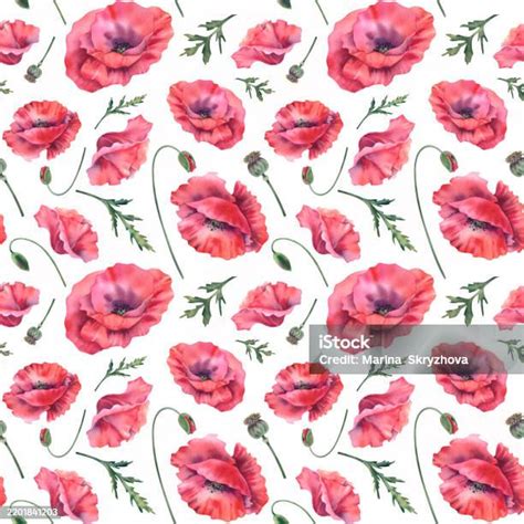 흰색 배경에 빨간 양귀비 야생화의 완벽 한 패턴입니다 손으로 그린 수채화 식물 삽화 초대장 소책자 엽서 패브릭 장식을위한 꽃다발 0명에 대한 스톡 벡터 아트 및 기타 이미지