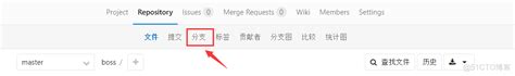 Gitlab 分支保护设置 51cto博客 Gitlab分配权限