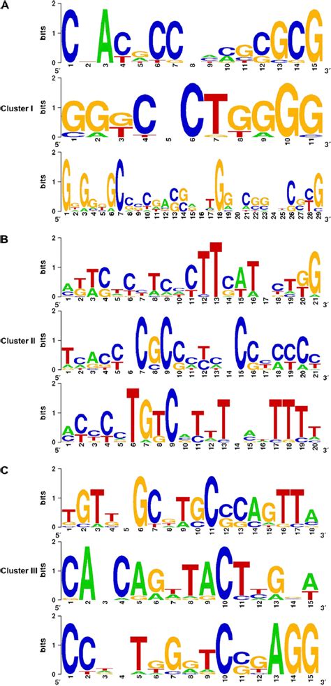 Putative Cis Acting Regulatory Elements Enriched In The Stigma Specific Download Scientific