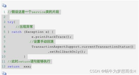 Spring 自定义异常 手动回滚 Transactionaspectsupportcurrenttransactionstatus