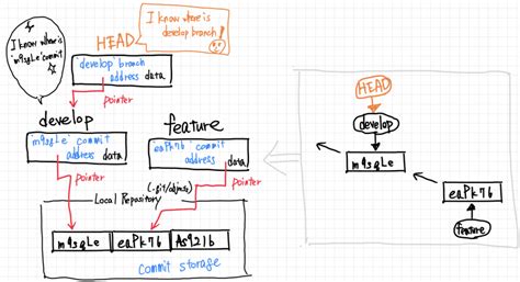 Understanding Git Through Images DEV Community