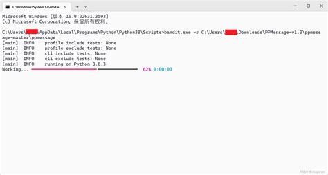 第95天代码审计 SAST IAST项目 PHP Java NET Python Js Go等测评 nodejsscan工具支持什么语言程序 CSDN博客