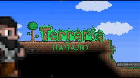 НАЧАЛО ПРИКЛЮЧЕНИЯ В ТЕРРАРИ - YouTube