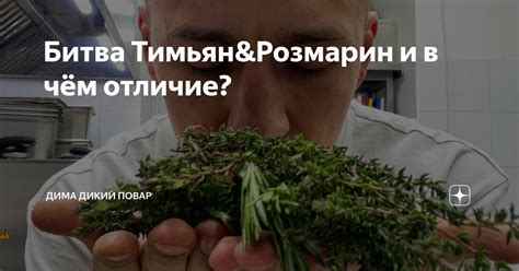 Битва Тимьян&Розмарин и в чём отличие? | Дима Дикий Повар | Дзен