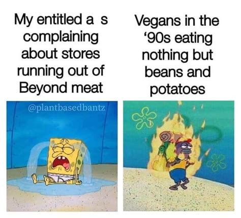Vegan Memes 45 Plant Based Jokes For The Vegans