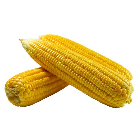 Premium Photo Corn With Skin Or Without Skin Isolated On White Background A Collection Of Corn
