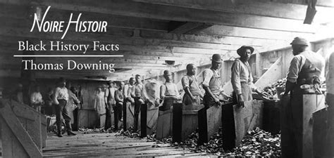 Thomas Downing Media Noire