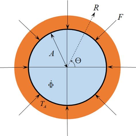 Cross Section Of Cylinder With Internal Heat Source In Temperature Download Scientific Diagram