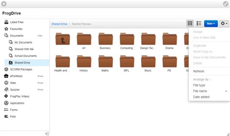 Accessing Files In Frog Froglms