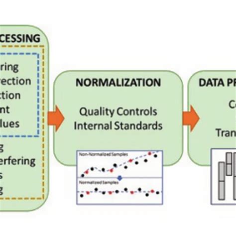 Processing In Metabolomics From Data Acquisition To Statistical