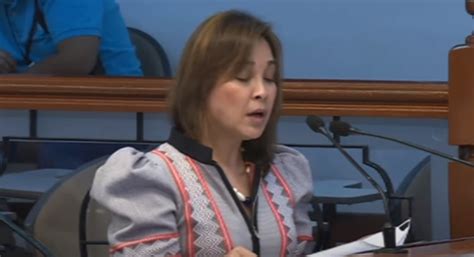 Loren Legarda Breaks Silence After Being Bashed Due To Statement On Cpp Npa Ndf