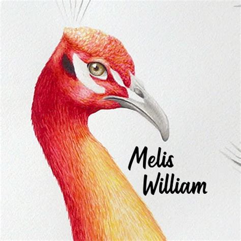 Melis William Youtube