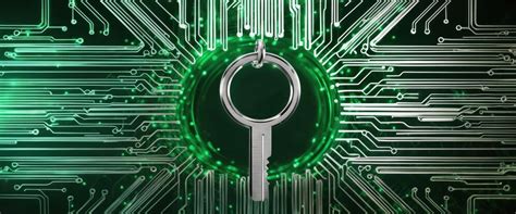 quantum encryption key representing data privacy in a digital circuit
