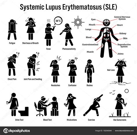 Systemic Lupus Erythematosus Sle Autoimmune Disease Icons Pictogram