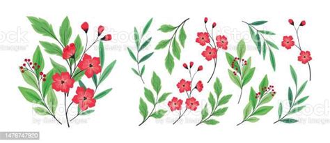 식물 요소의 컬렉션 가지에 작은 꽃 다양한 허브와 흰색 배경에 고립 된 나뭇잎 벡터 0명에 대한 스톡 벡터 아트 및 기타 이미지 Istock