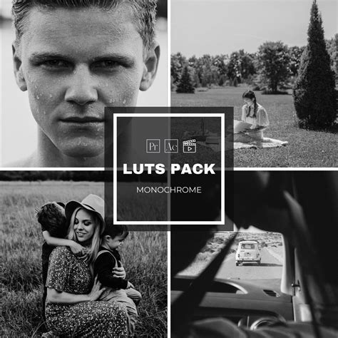 8 Monochrome Video Luts Black White Luts Bandw Portrait Luts Etsy