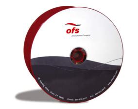 Step Index Multimode Optical Fibers