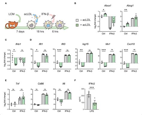Acldl Exposure Suppresses Type I Ifn Gene Programs In Bmdms A