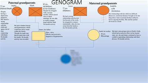 Solution Genogram Presentation Studypool