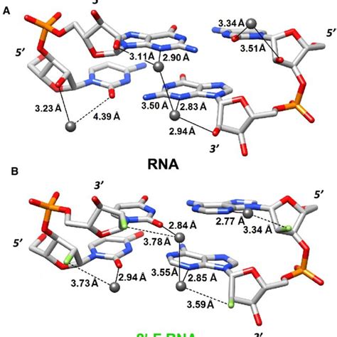 Pdf Chemistry Structure And Function Of Approved Oligonucleotide