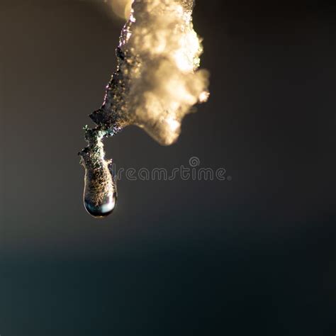 Drop Of Water On Small Icicle Stock Image Image Of Winter Small