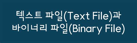 텍스트 파일 text file 과 바이너리 파일 binary file