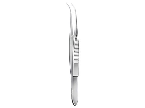 Dissecting Forceps Without Teeth Curved 10 5cm Tr