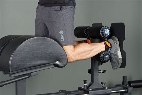 Quad To Hamstring Ratio Explained Mirafit