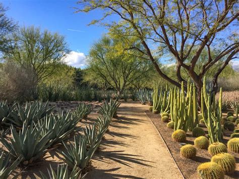 Visiting Sunnylands Center And Gardens Near Palm Springs Ca