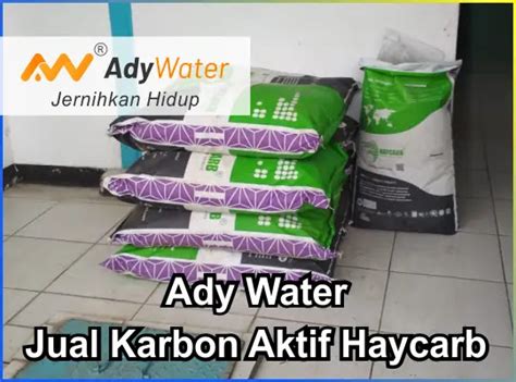 Pengertian Bilangan Iodin Nomor Iodin Activated Carbon 0812 1121