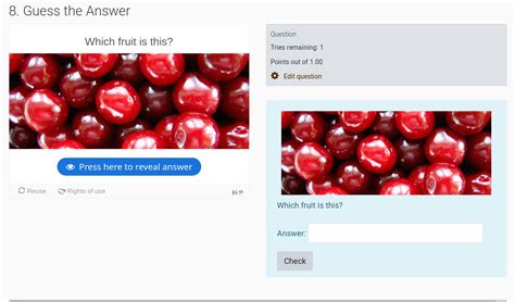 File H Pguessanswer Png MoodleDocs