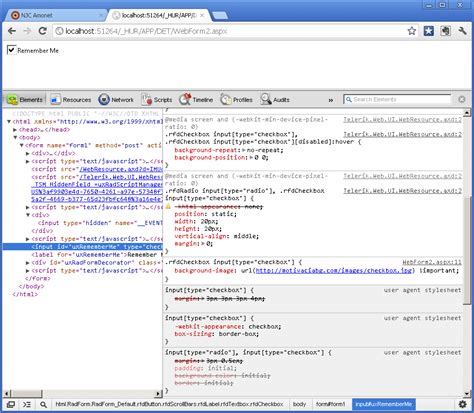 Internal Build Checkbox Issue On Chrome In Ui For Aspnet Ajax Formdecorator Telerik Forums
