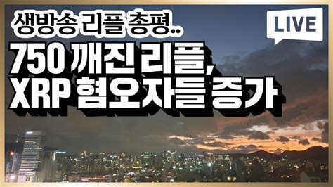 리플 총평 3 대 주춤하는 리플 새벽간 어떤 움직임 리플 youtube