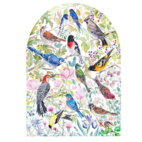 Birds Of The Northeast With Blue Jay — Robin Crofut Brittingham