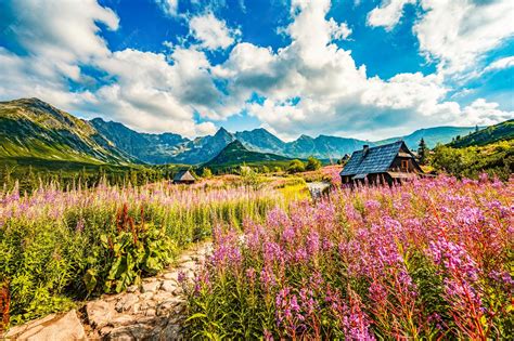 Premium Photo Tatra National Park In Poland Tatra Mountains Panorama