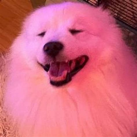 Simon Lindberg Youtube