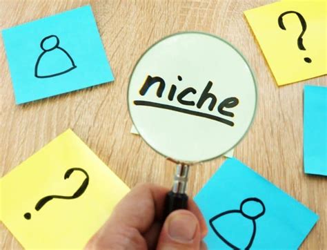 What Is Niche Marketing The Niche Guru