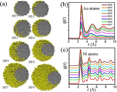 A Cross Sections Through The Au Ni Nps At Temperature 1173 K B C Download Scientific
